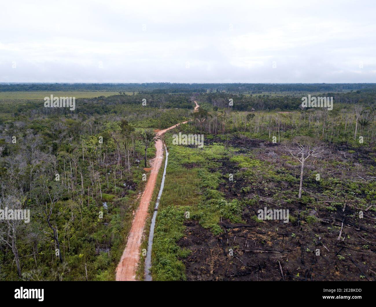 Drone aerial view of dirt road and burn meadow in cattle pasture farm ...