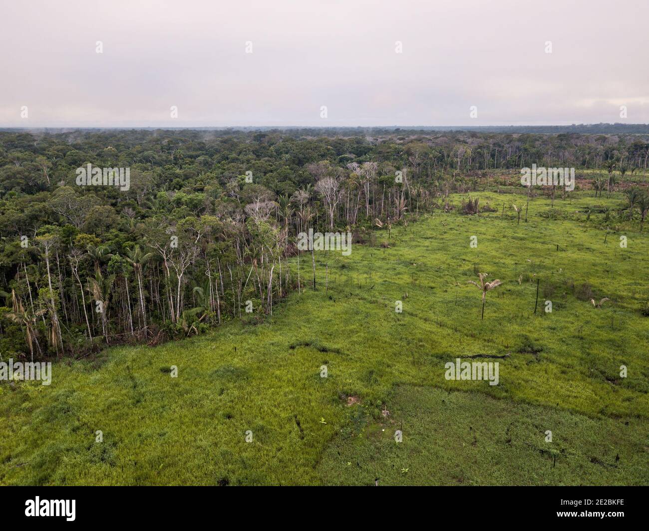 Tropical rainforest conservation hi-res stock photography and images ...