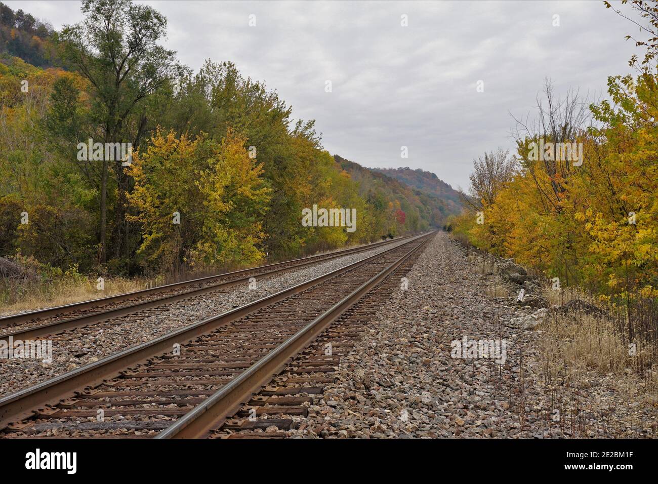 Fall color train tracks Stock Photo - Alamy