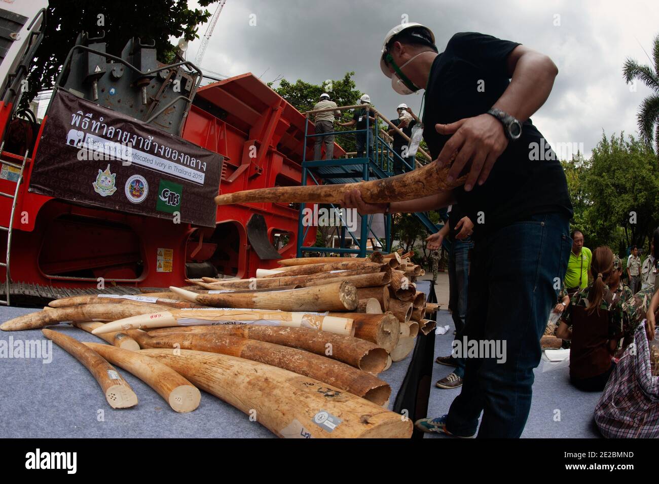 Elephant ivory bracelet hi-res stock photography and images - Alamy