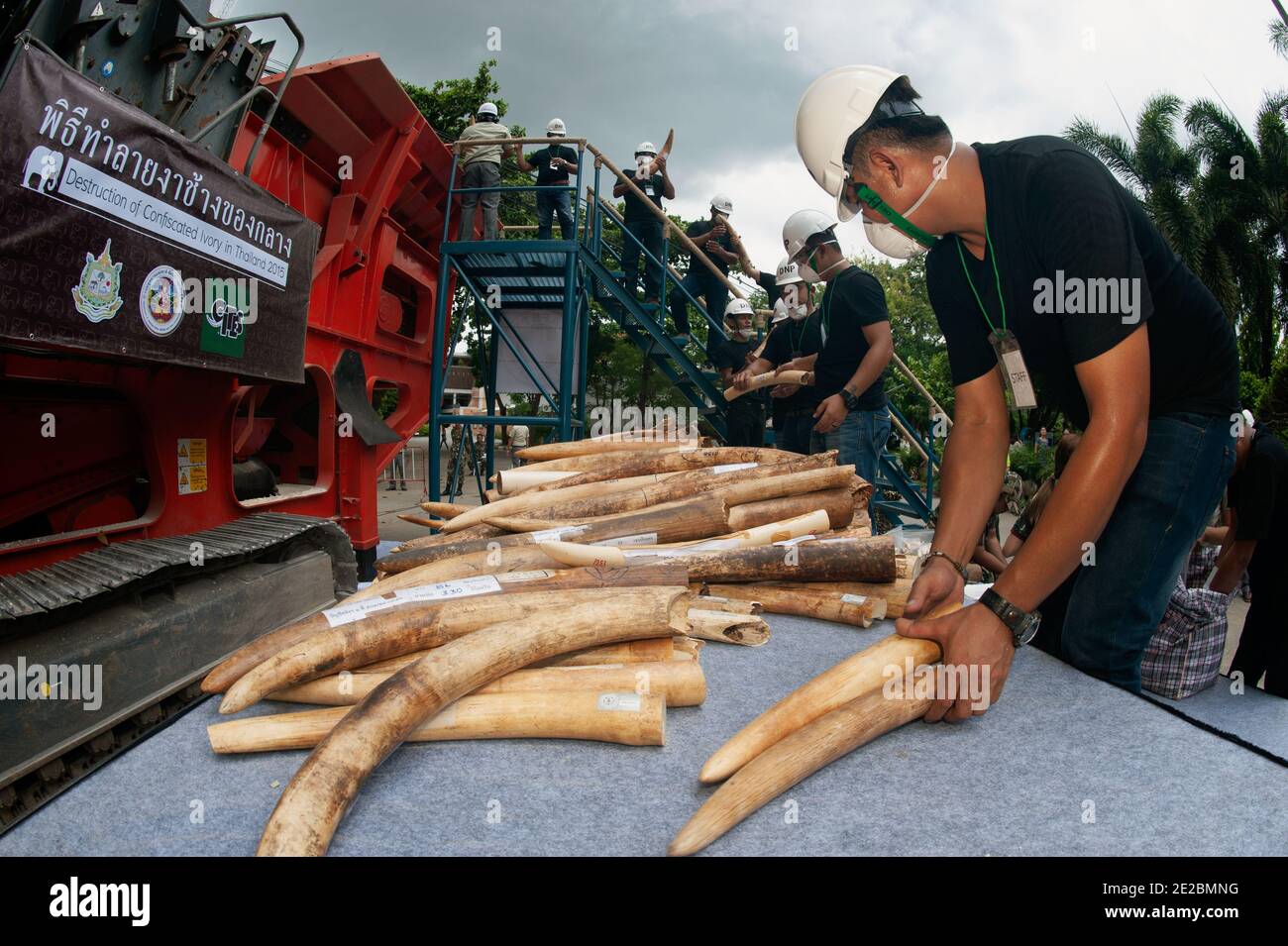 Confiscated ivory hi-res stock photography and images - Alamy