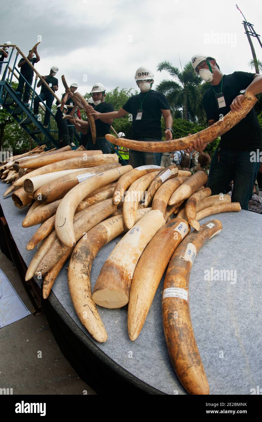 Elephant ivory bracelet hi-res stock photography and images - Alamy