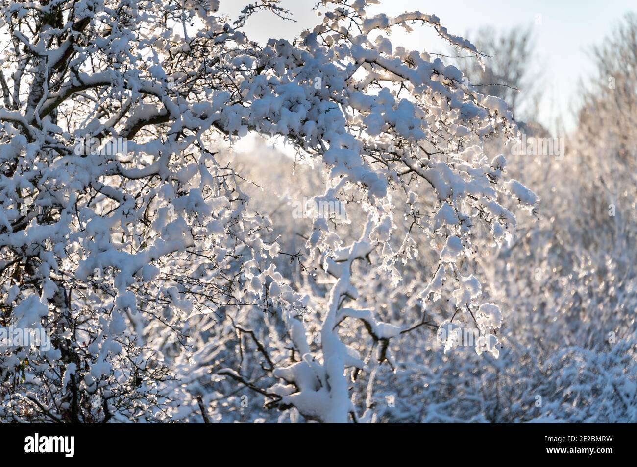 English snow scene Stock Photo - Alamy