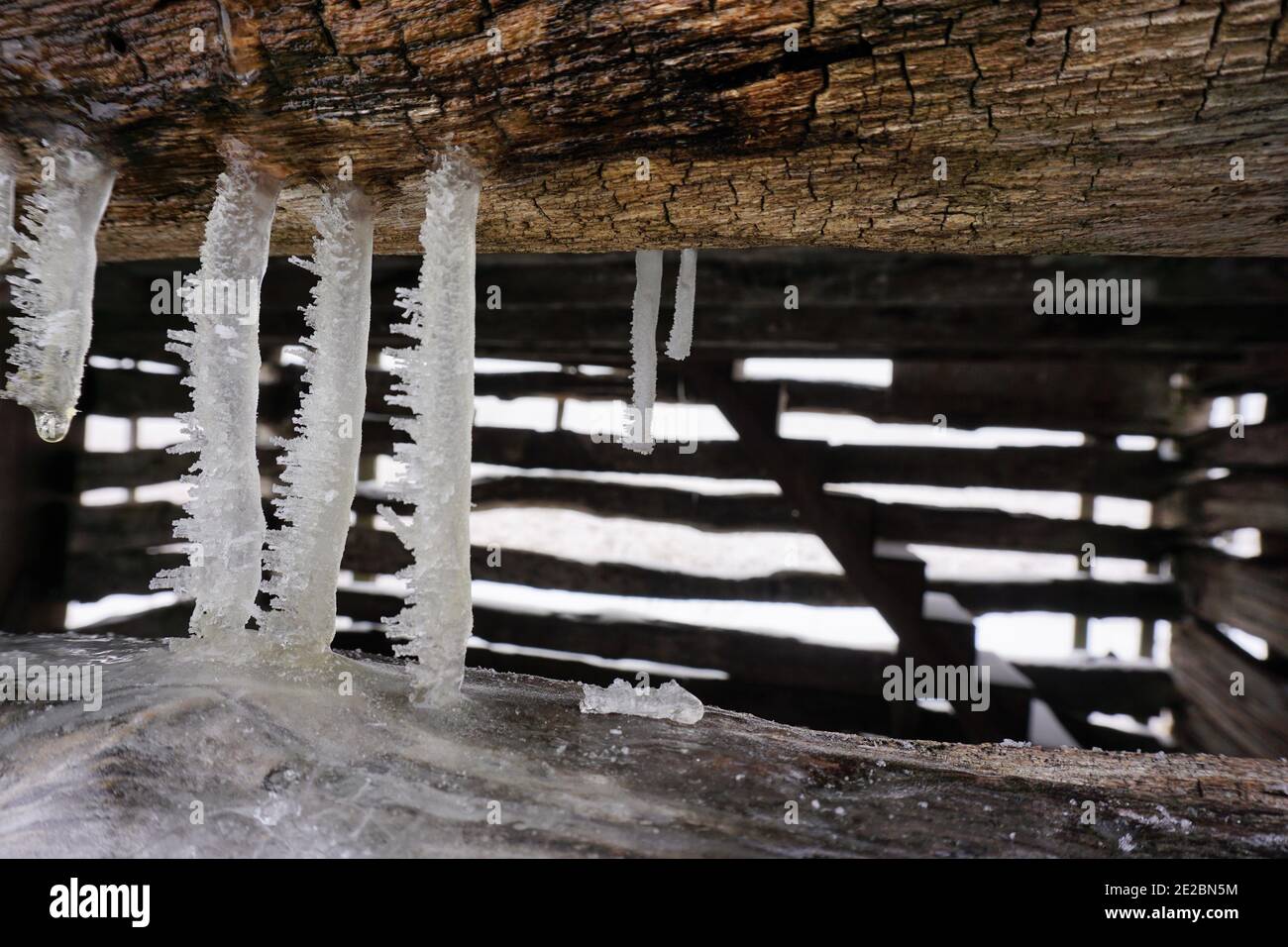 Peeking through abandoned icy barn Stock Photo - Alamy