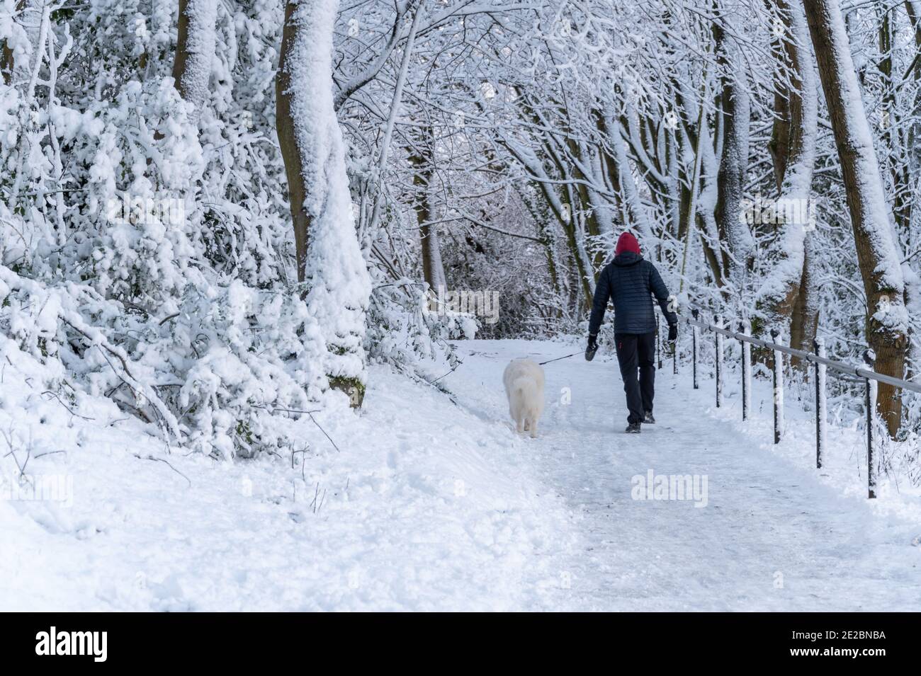 Walking in frost hi-res stock photography and images - Alamy
