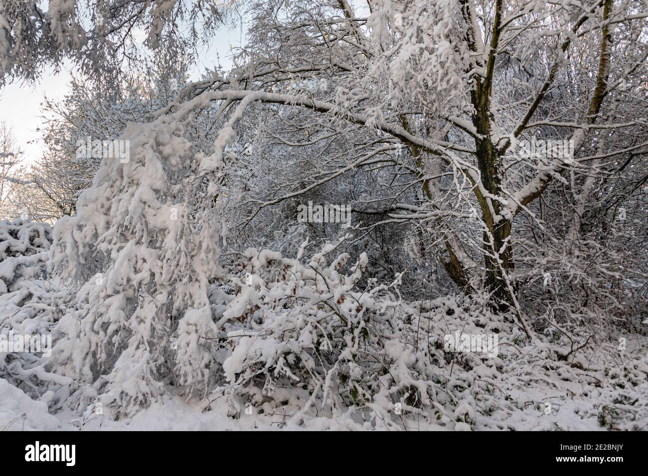 English snow scene Stock Photo - Alamy