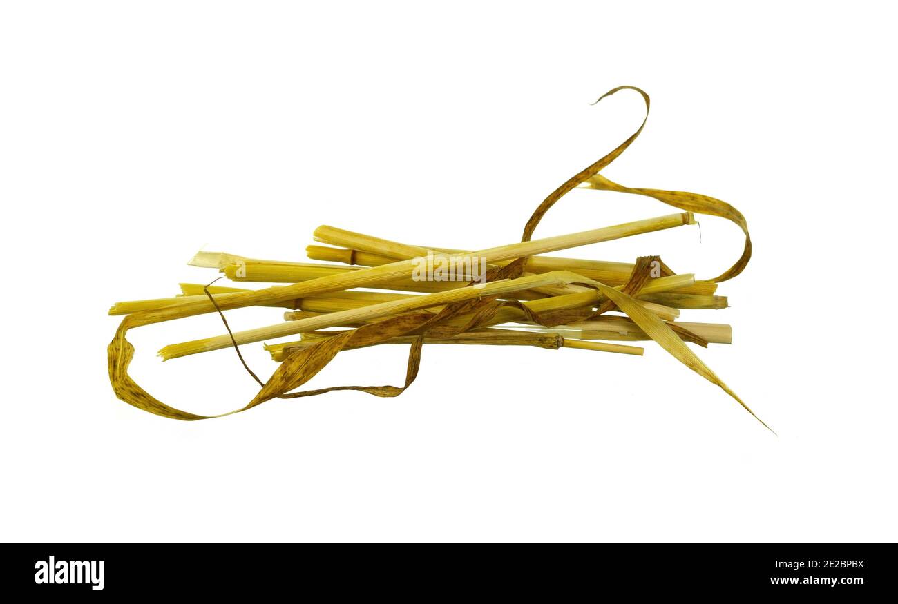 Pile straw isolated on white background. Straw texture Stock Photo - Alamy