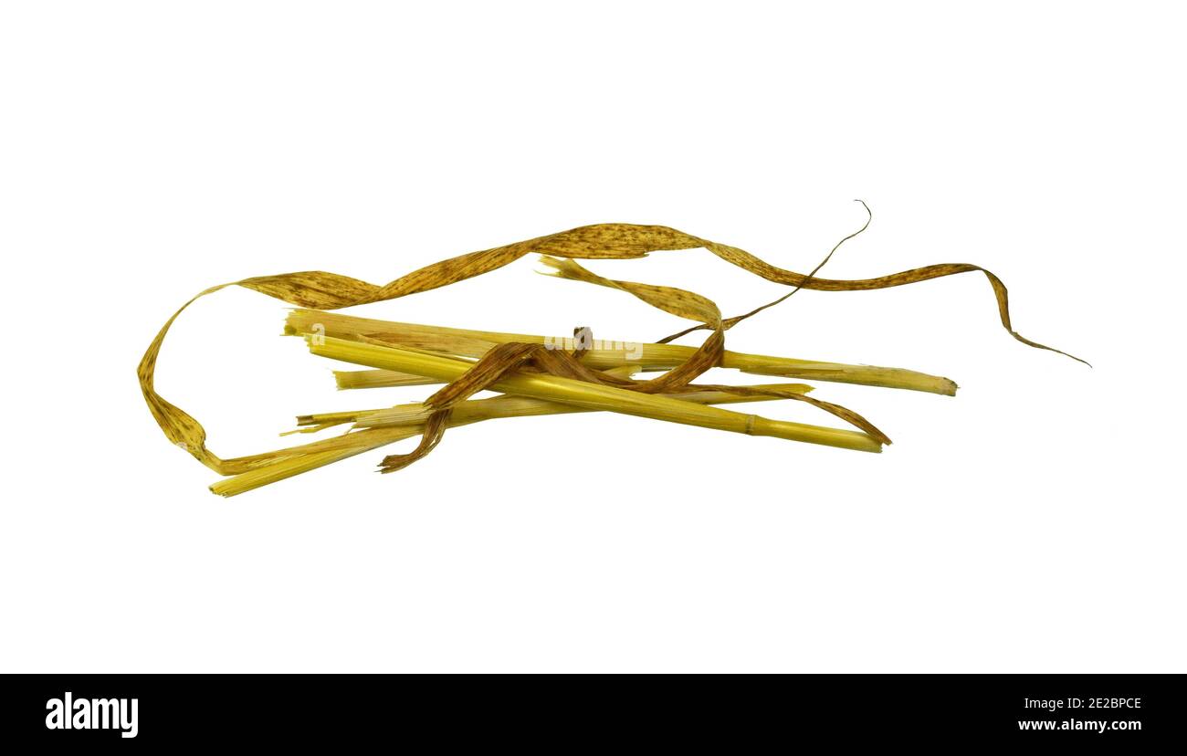 Pile straw isolated on white background. Straw texture Stock Photo - Alamy