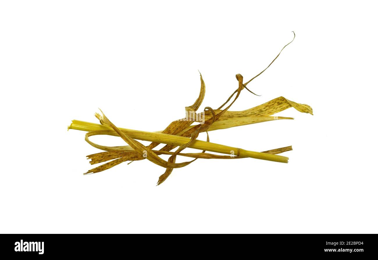 Pile straw isolated on white background. Straw texture Stock Photo - Alamy