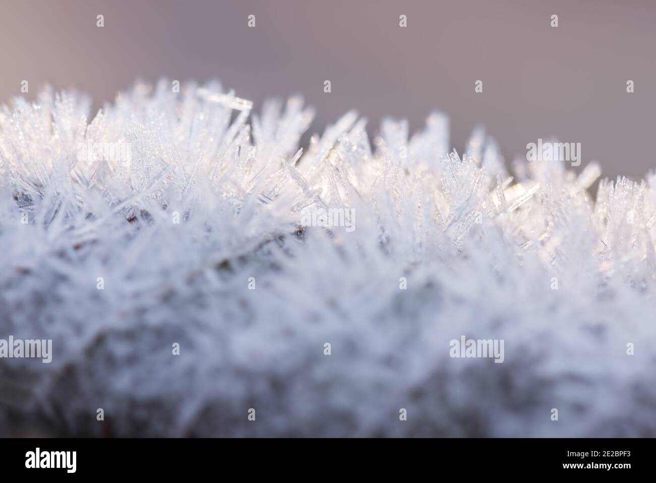 Frosted frozen ice crystals hi-res stock photography and images - Alamy