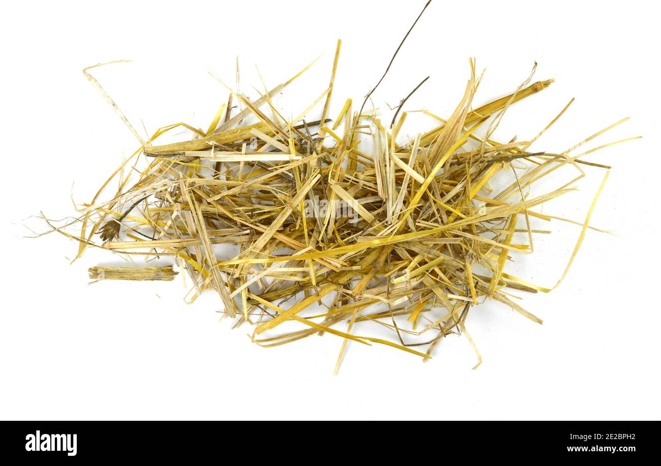 Pile straw isolated on white background. Straw texture Stock Photo - Alamy