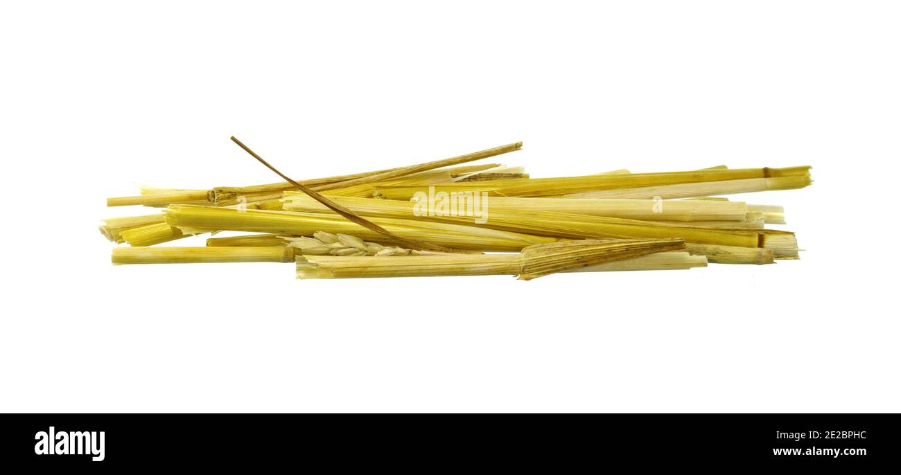 Pile straw isolated on white background. Straw texture Stock Photo - Alamy