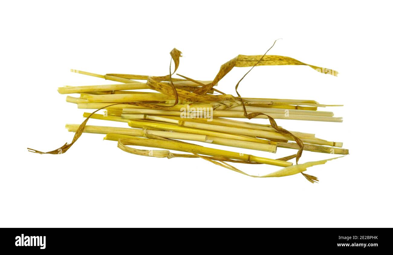 Pile straw isolated on white background. Straw texture Stock Photo - Alamy