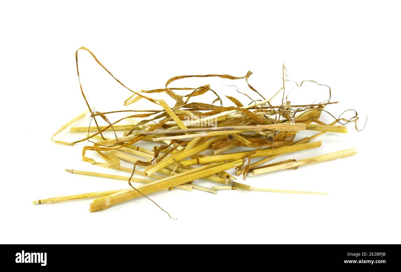 Pile straw isolated on white background. Straw texture Stock Photo - Alamy