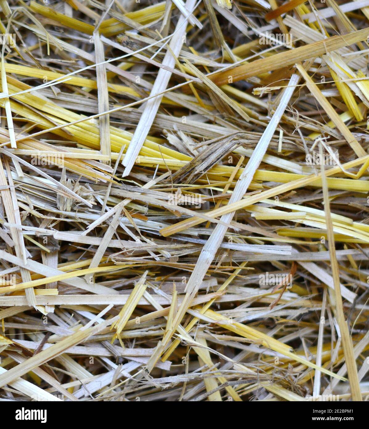 Dry grass background. Freshly cut and baled hay stacked to dry Stock ...
