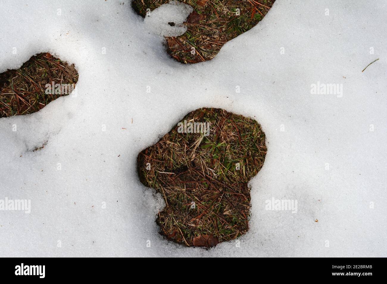 The end of winter. Snow photographed in the winter season, which ...