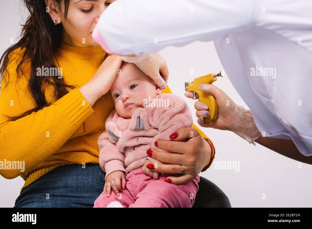 Enlarged photo. The doctor's hands are making holes in the ears with a ...