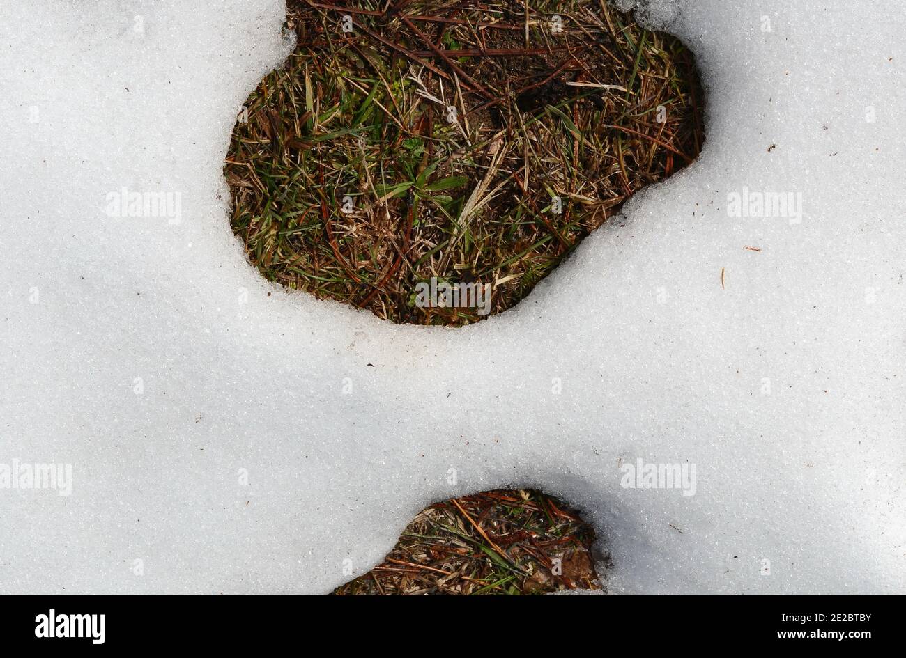 The end of winter. Snow photographed in the winter season, which ...