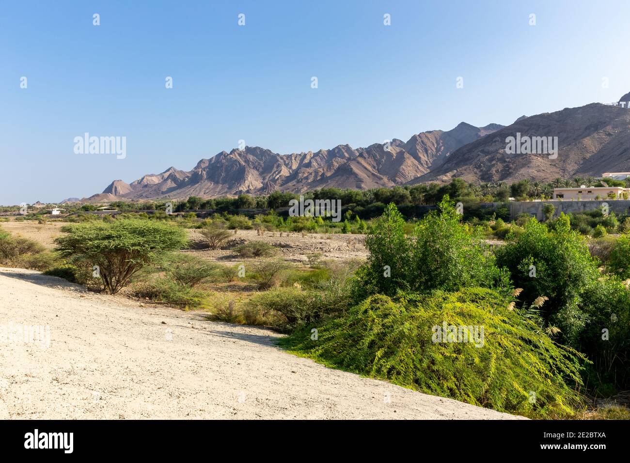 Sheikh Maktoum Bin Rashid Al Maktoum Dam riverbed in Hatta, with green ...