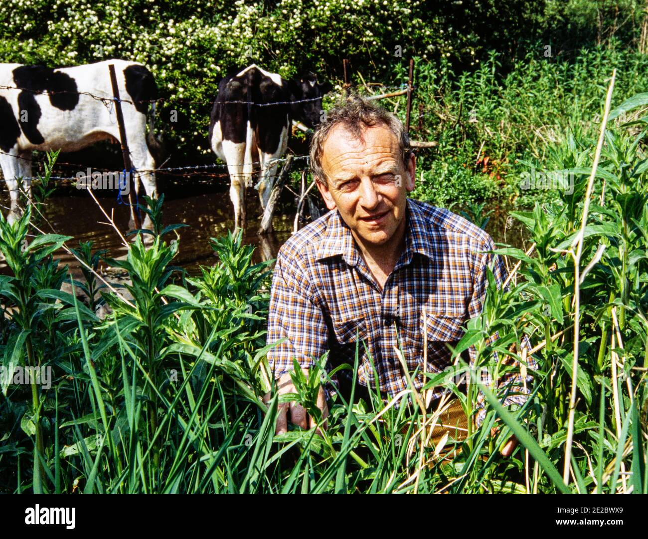 English wildlife hi-res stock photography and images - Alamy