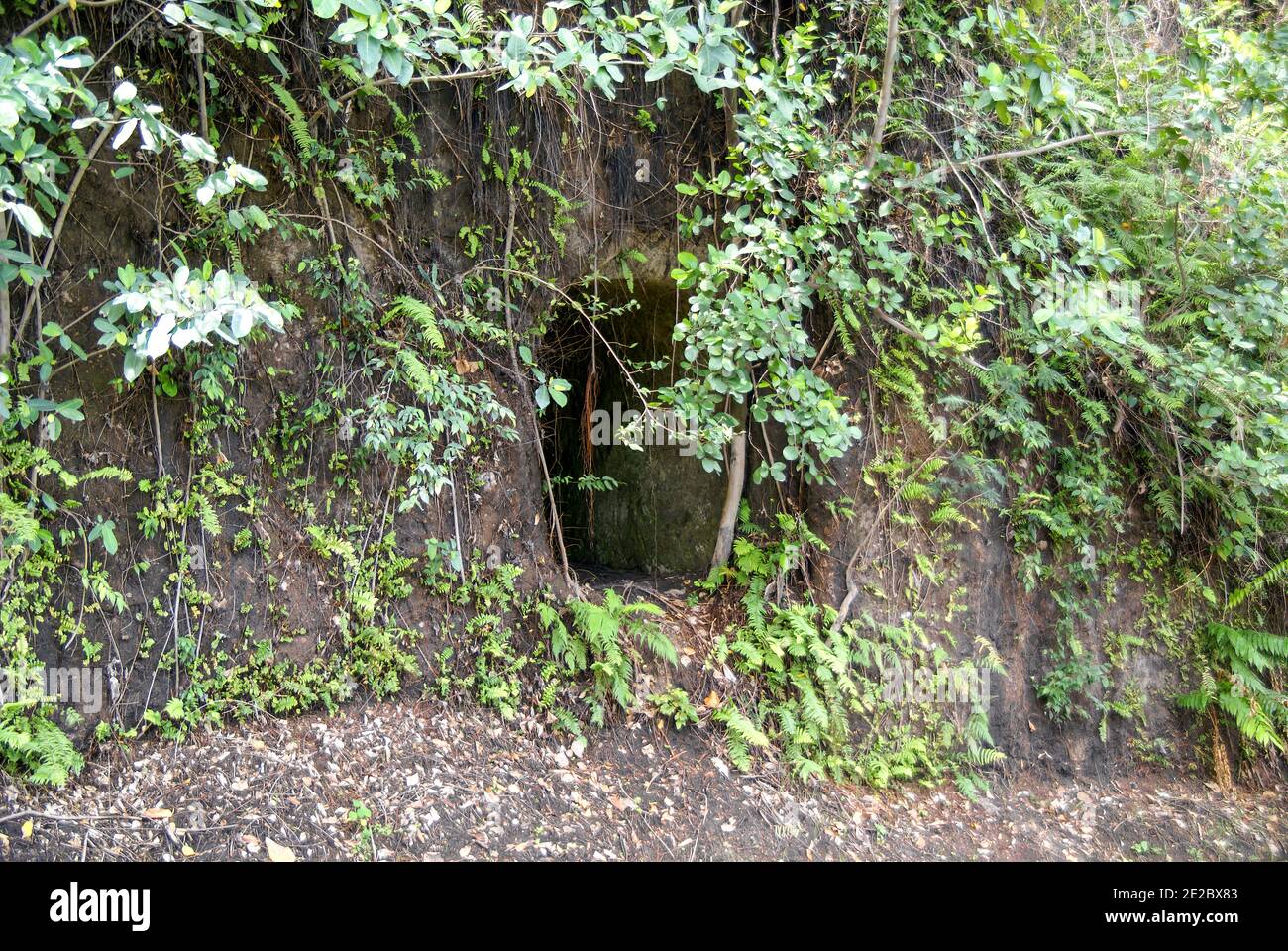 In the area of the Japanese occupation during WWII. Rabaul; Papua New ...