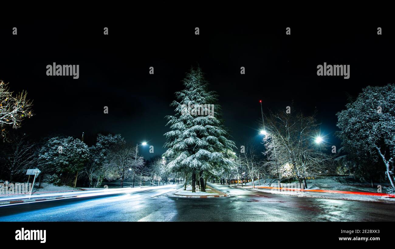 Cedar full of snow and moving lights in Ifrane Stock Photo - Alamy