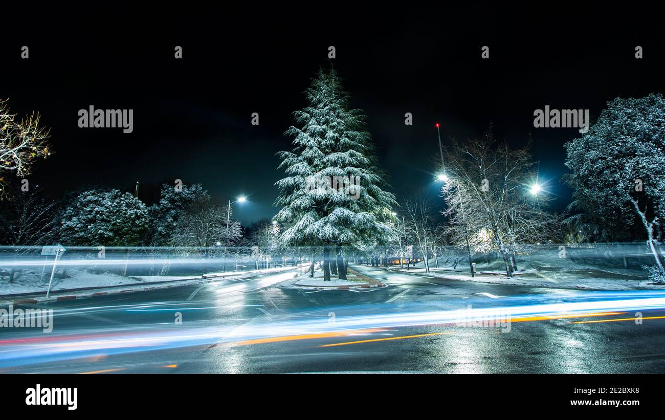 Cedar full of snow and moving lights in Ifrane Stock Photo - Alamy