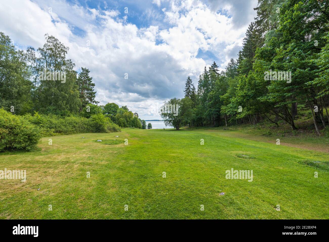 Beautiful summer nature landscape view. Greengrass field on front and ...