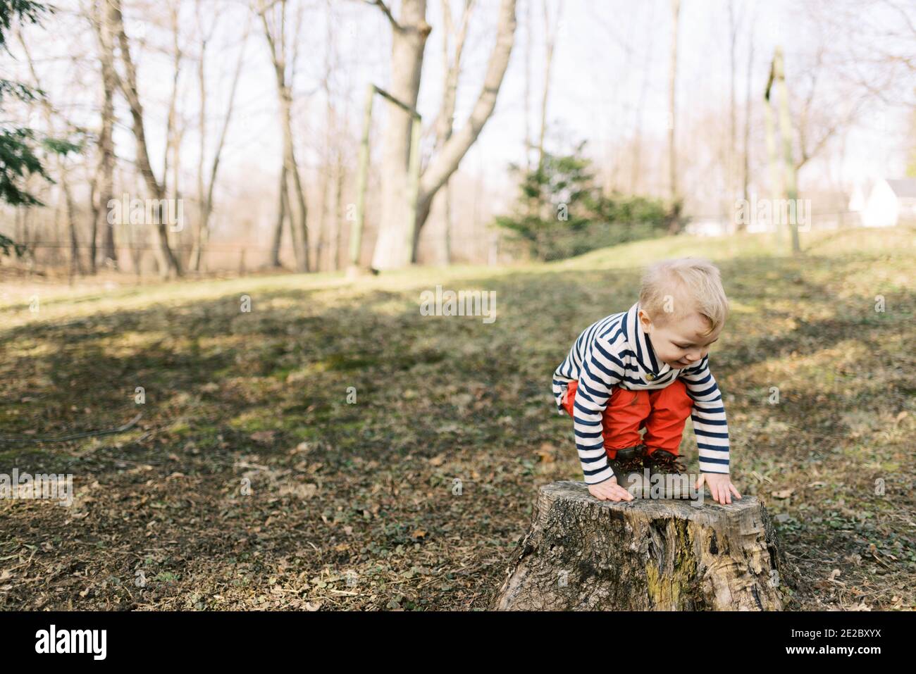 Backyard discovery hi-res stock photography and images - Alamy