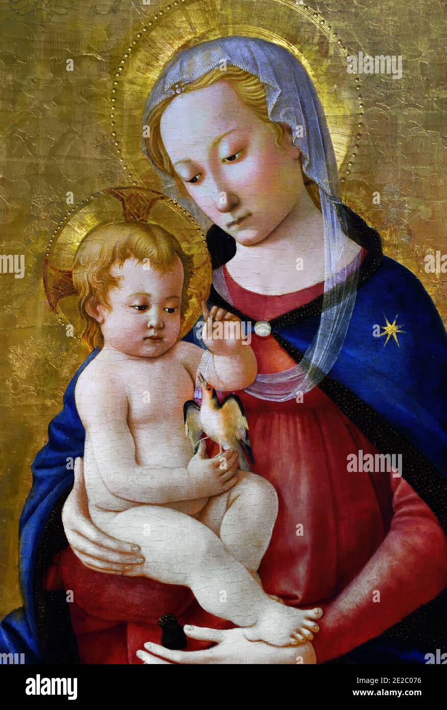 Master of the castello nativity hi-res stock photography and images - Alamy