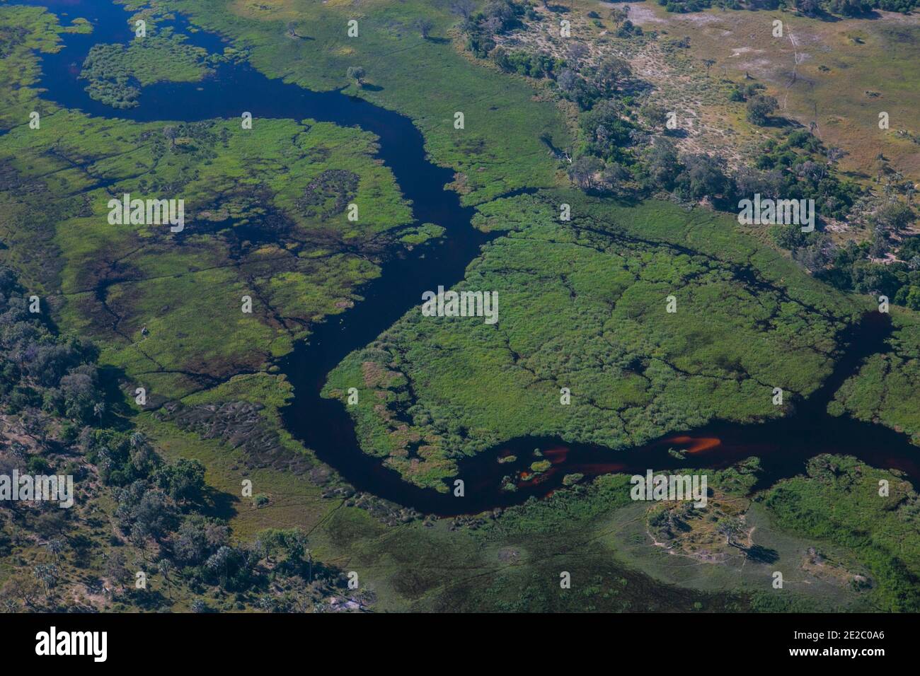 Okavango Delta in flood season by air Stock Photo - Alamy
