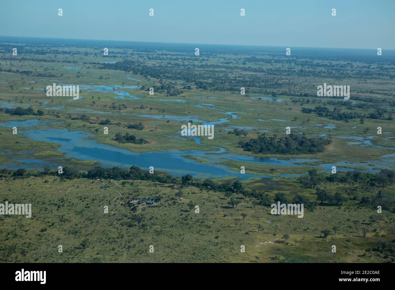 Swamp wetland okavango hi-res stock photography and images - Alamy