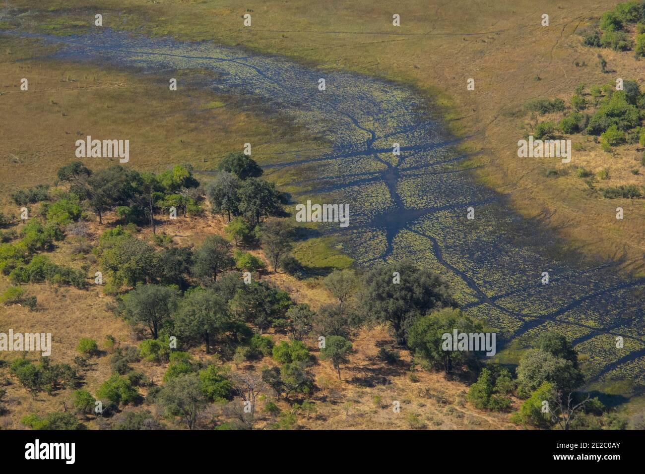Okavango Delta in flood season by air Stock Photo - Alamy