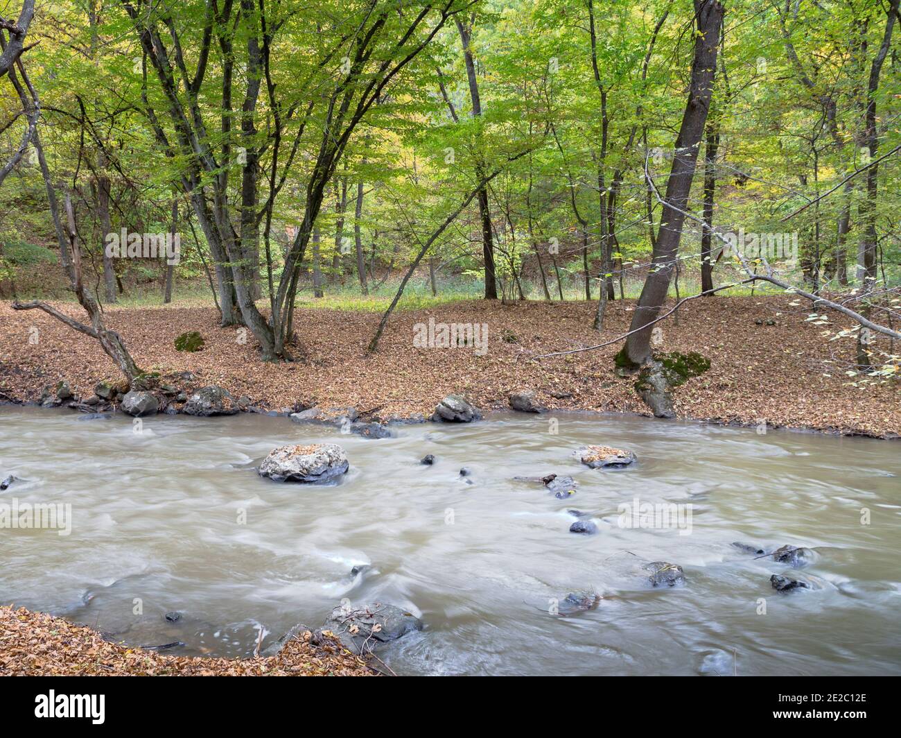 Beautiful autumn landscape in the deciduous forest. Beautiful views of ...