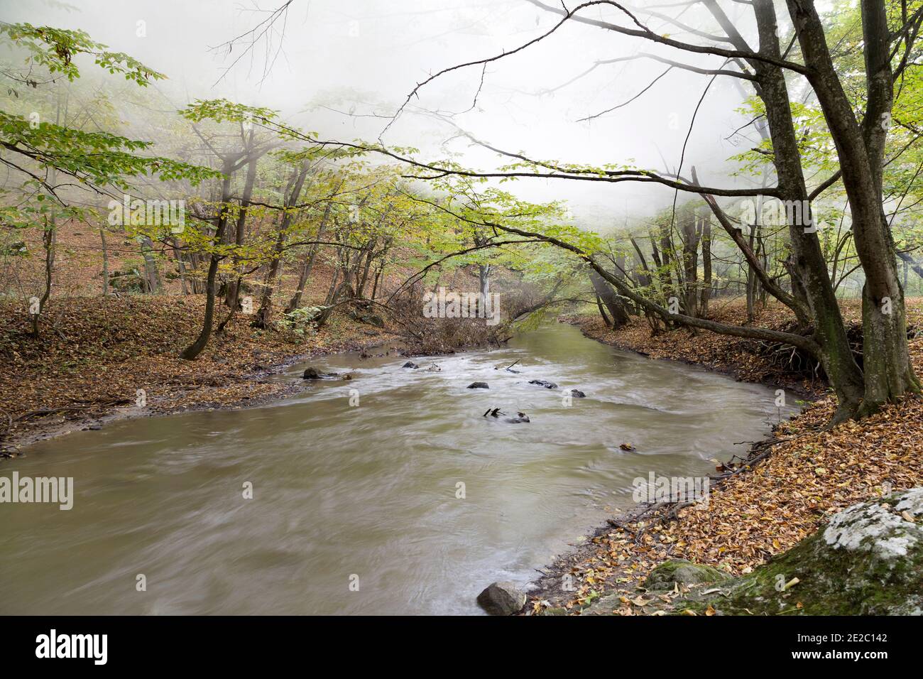 Mist over the river in a mysterious autumn forest. Beautiful views of ...