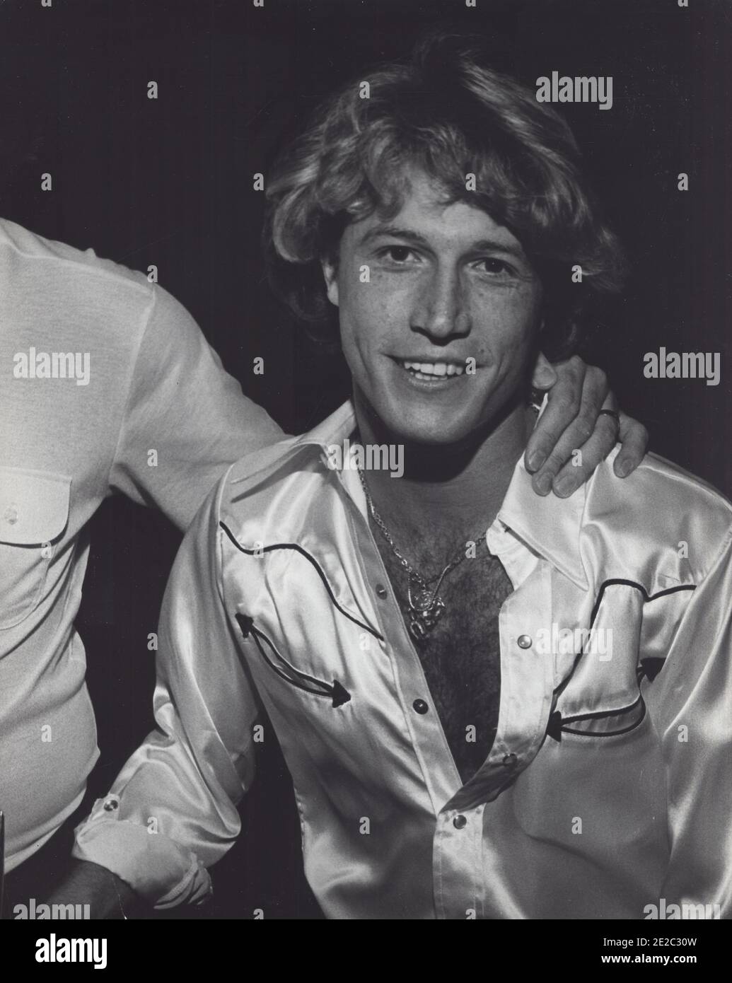 Andy Gibb Credit: Ralph Dominguez/MediaPunch Stock Photo - Alamy