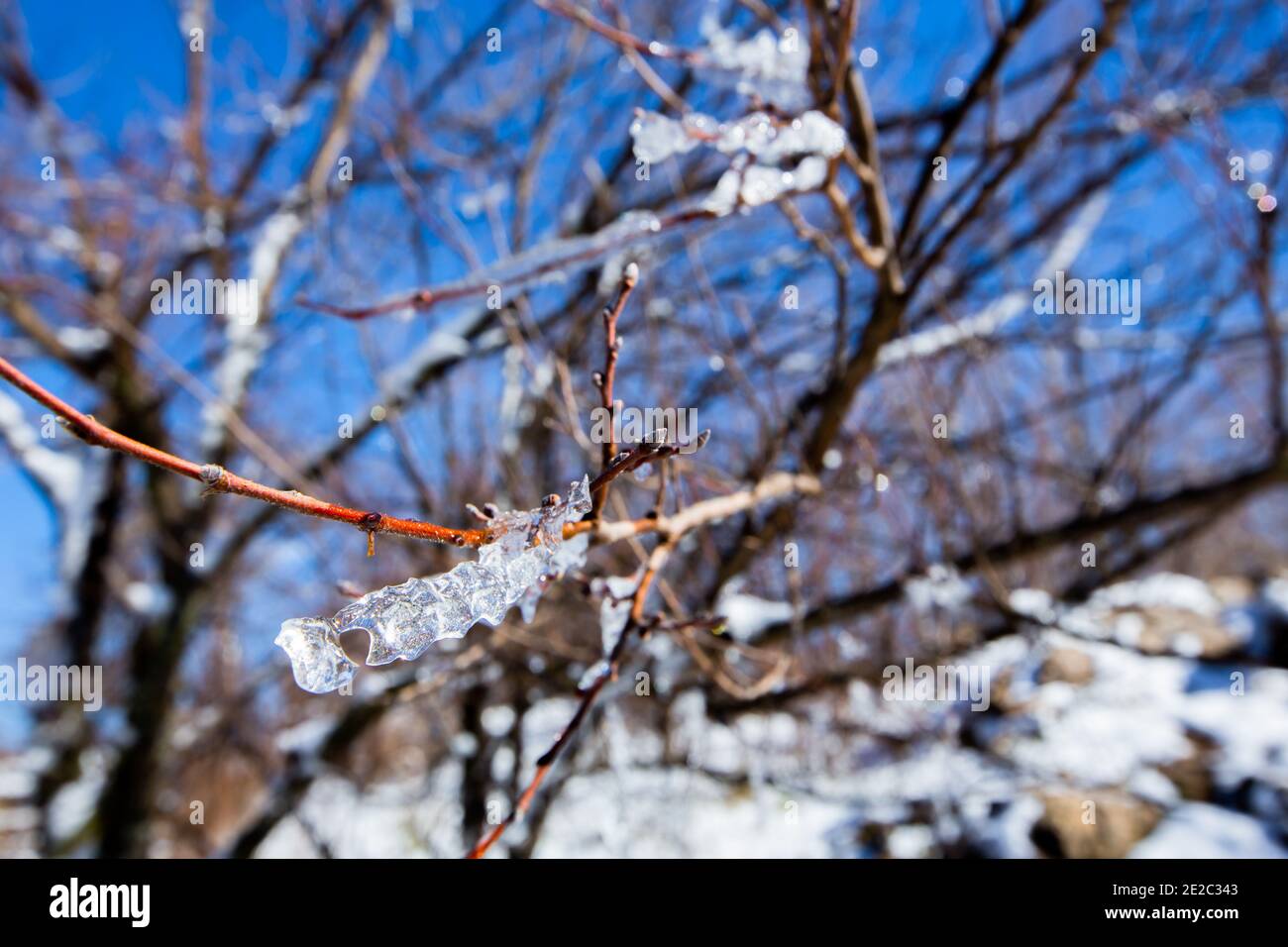 Ifrane morocco snow hi-res stock photography and images - Alamy