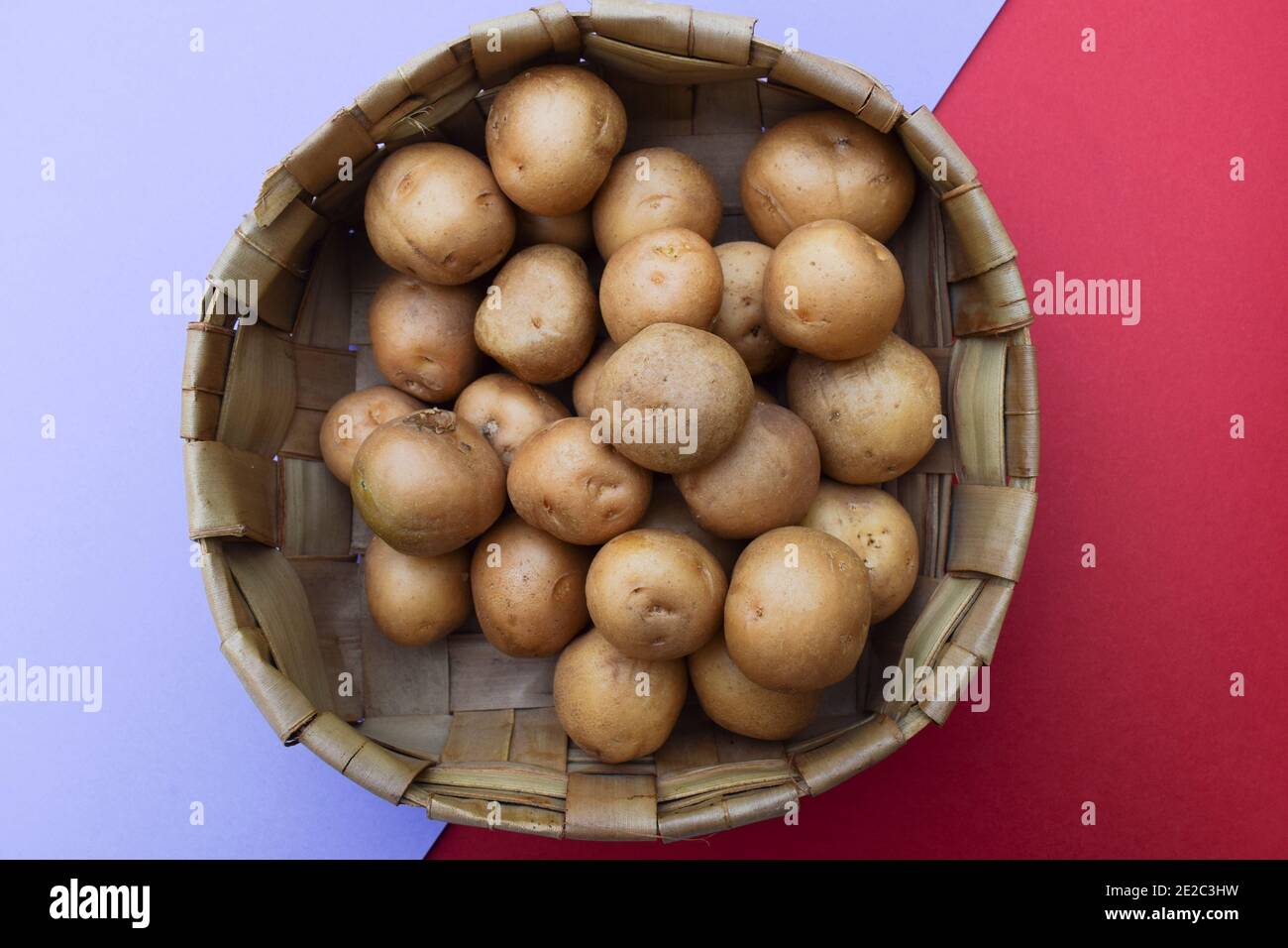 Stachy hi-res stock photography and images - Alamy