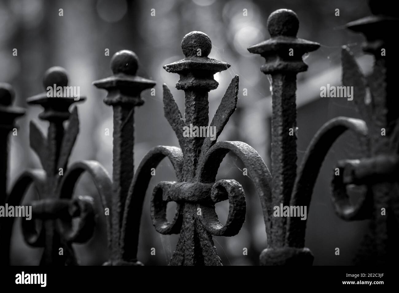Low angle greyscale view of a rusty metallic fence with a spider web on ...