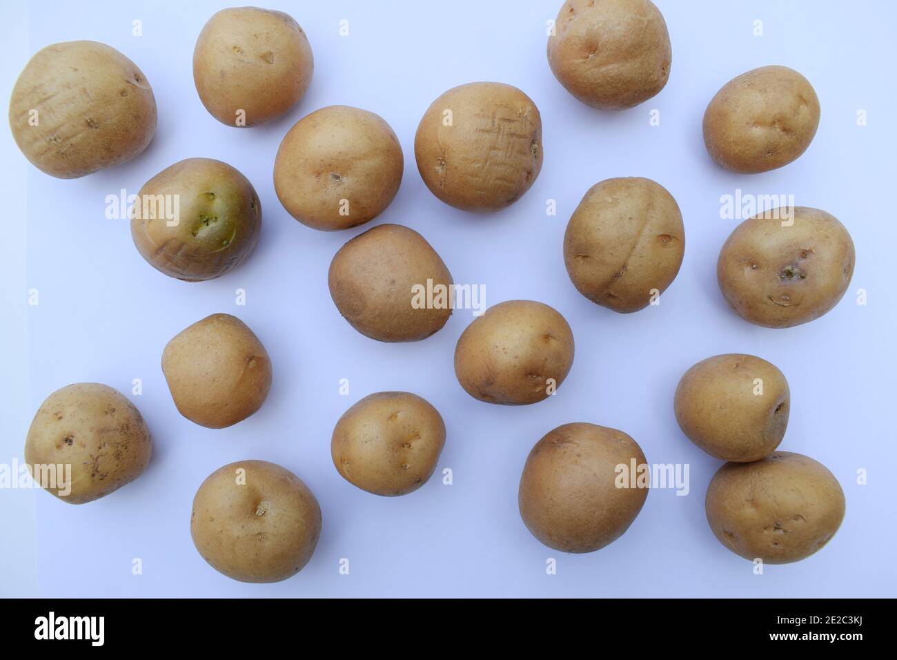 Baby potatoes small round potato from india on white background Asian ...