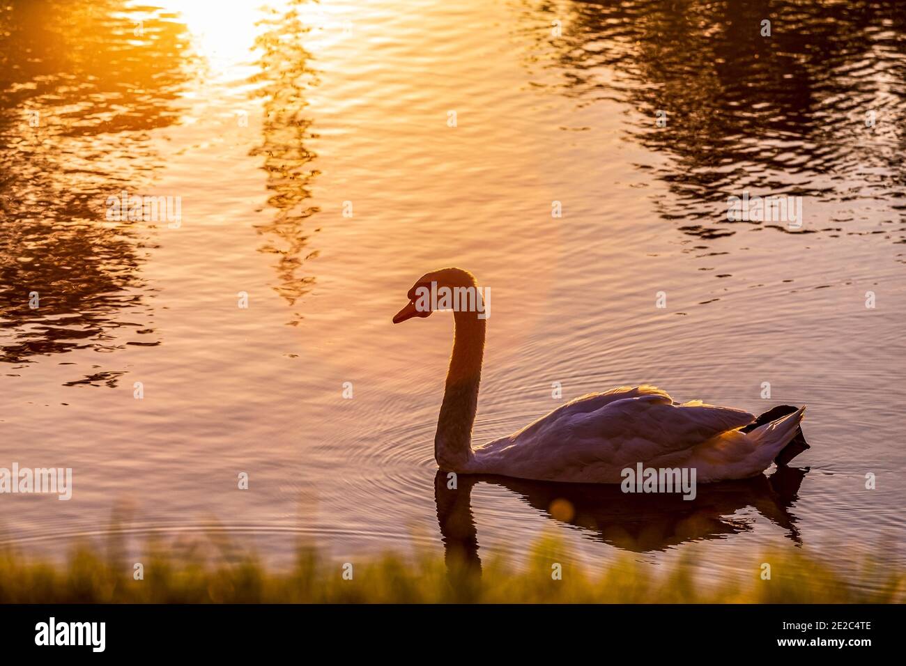 Beautiful dramatic bird eye hi-res stock photography and images - Alamy