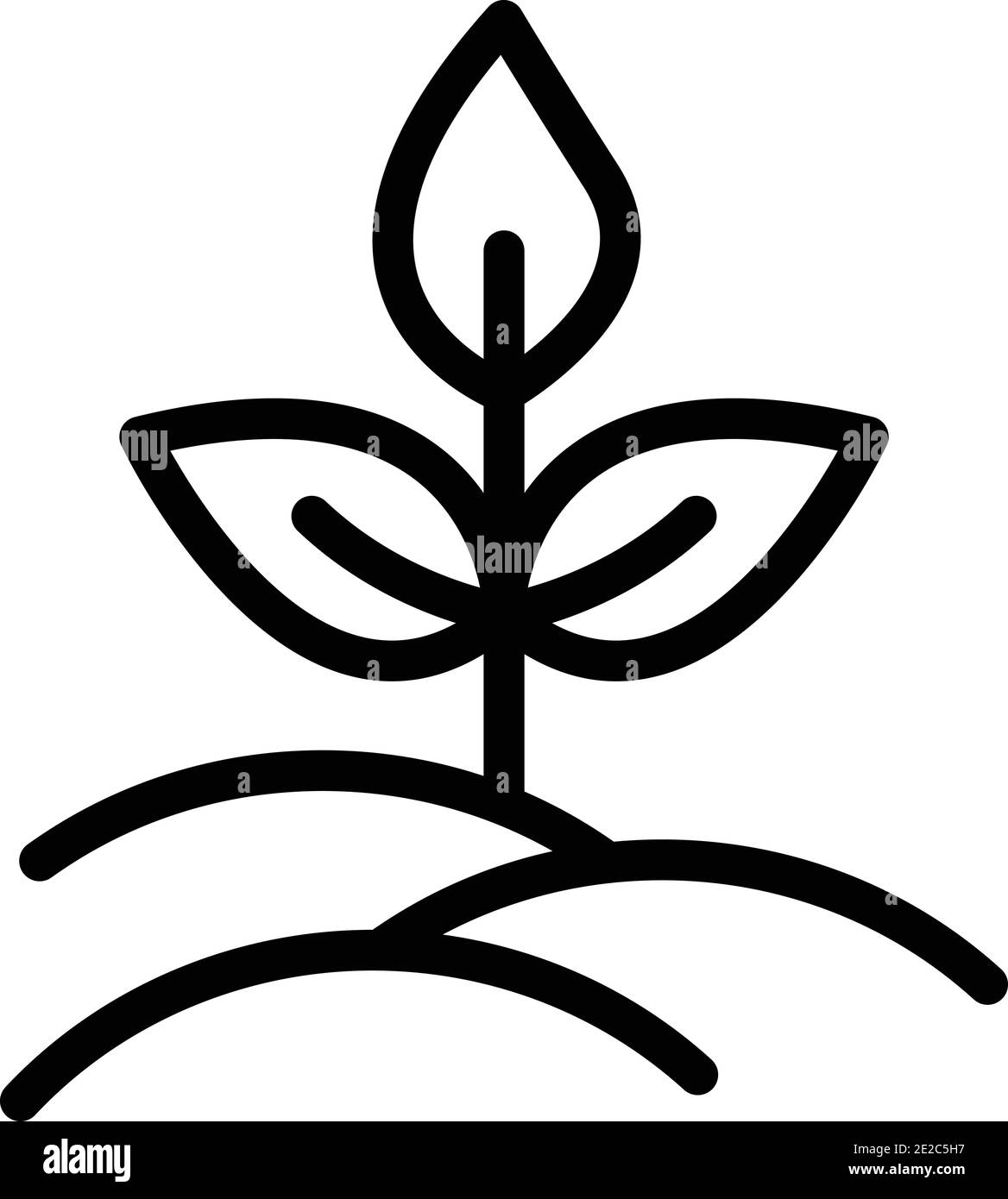 Natural plant icon. Outline natural plant vector icon for web design ...