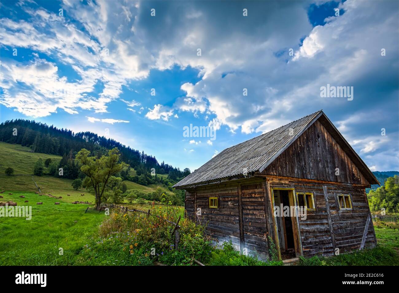 Old cabin in woods hi-res stock photography and images - Alamy
