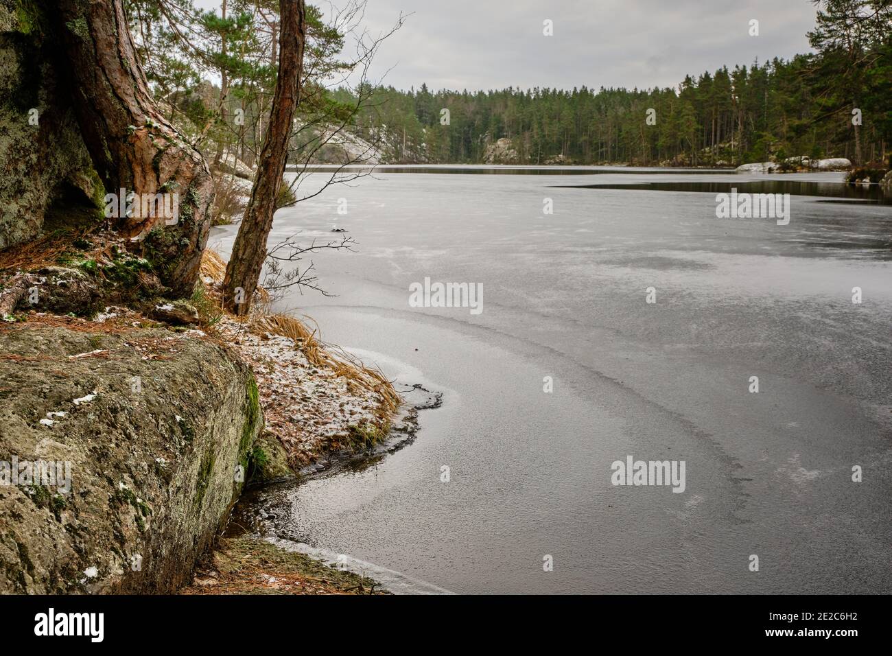 Cliff and trees in the foreground and a lake with ice in the background ...