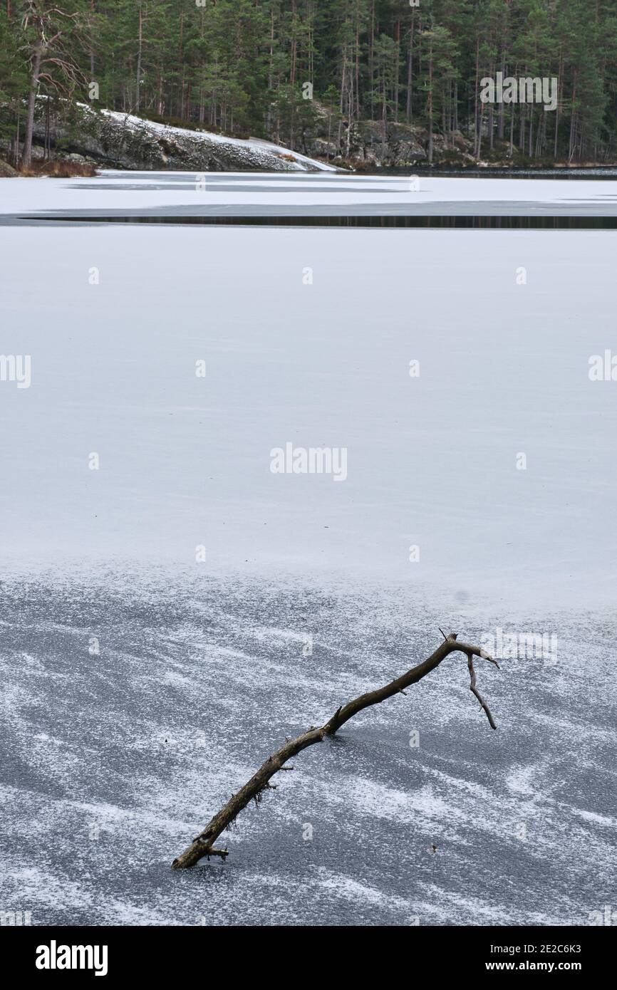 Branch sticking out of water hi-res stock photography and images - Alamy