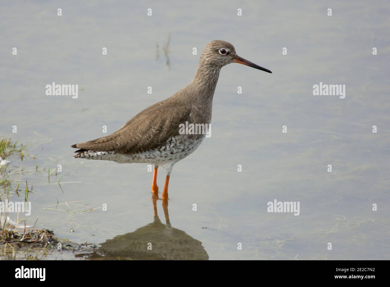 Otmoor reserve hi-res stock photography and images - Alamy