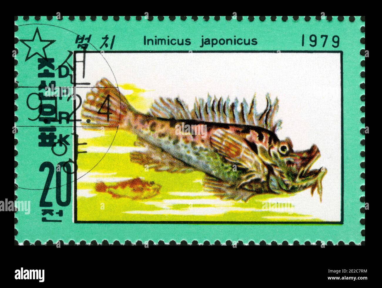 Inimicus japonicus hi-res stock photography and images - Alamy