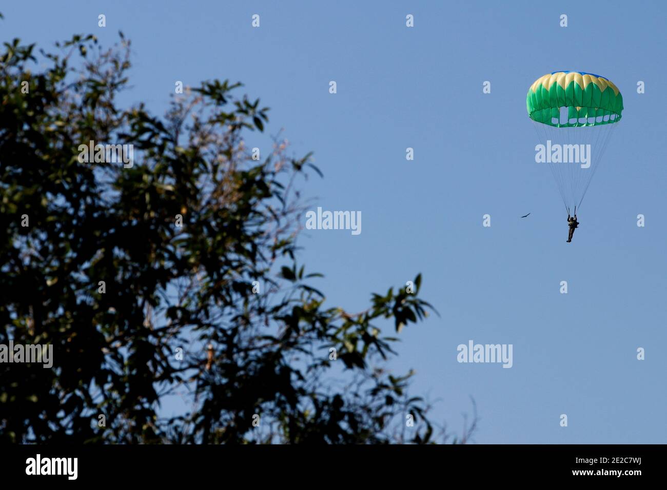 Military army parachutes paratroopers jump in blue sky from airplane ...