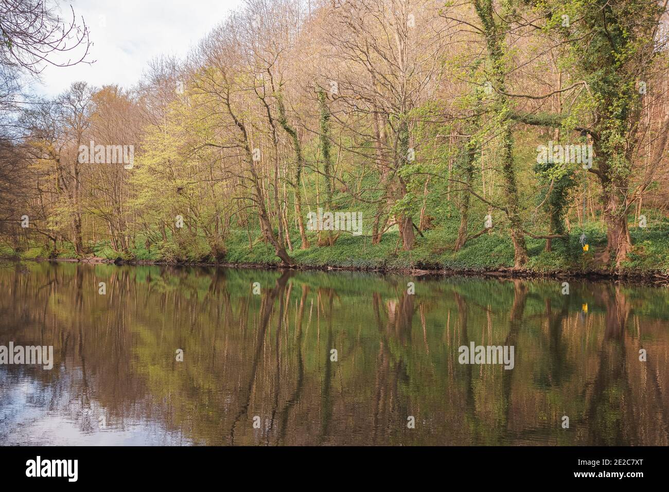 A calm reflection on the Cammo Estate and River Almond walk at Cramond ...
