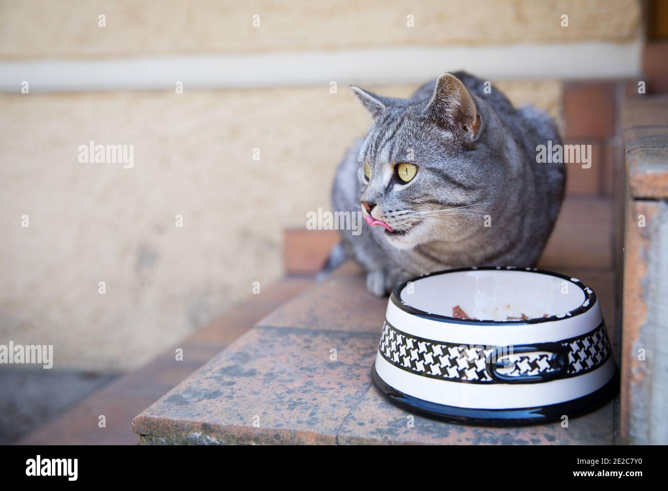 Bowl outside hi-res stock photography and images - Alamy